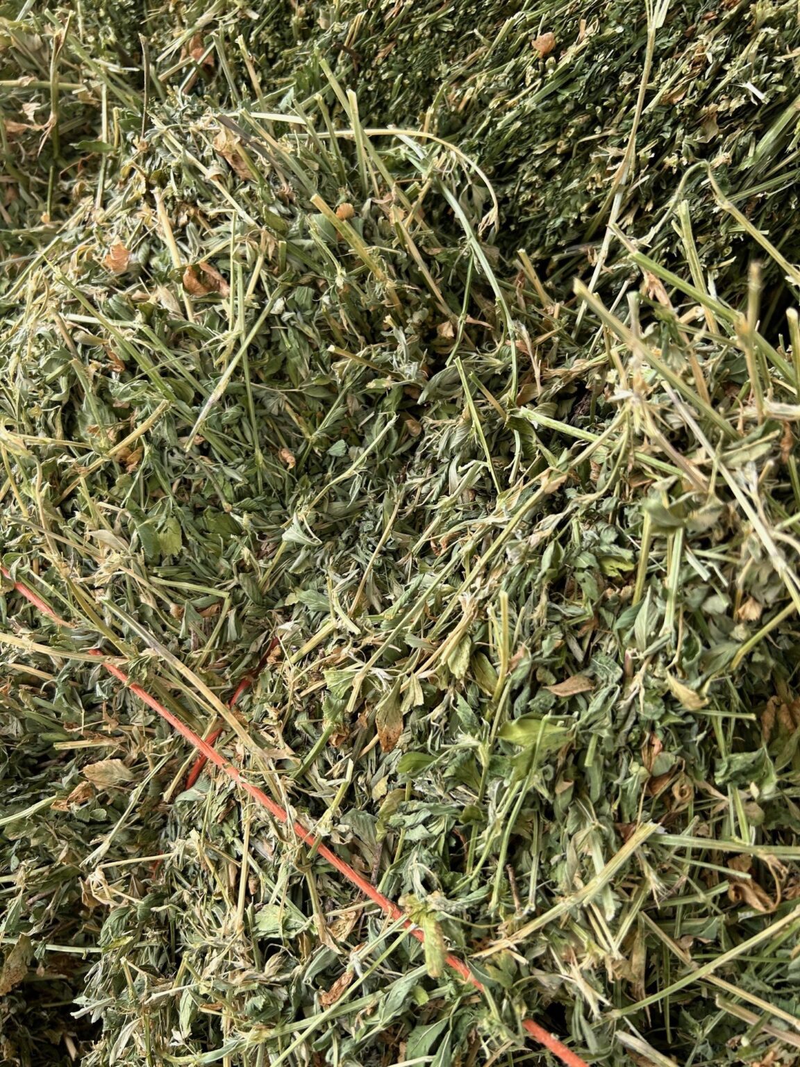 Lucerne Hay - Lowe Farms Farmgate Fodder