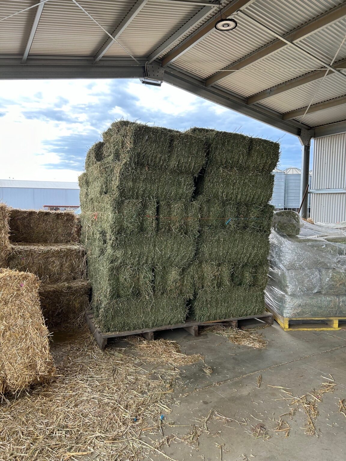 Lucerne Hay - Lowe Farms Farmgate Fodder