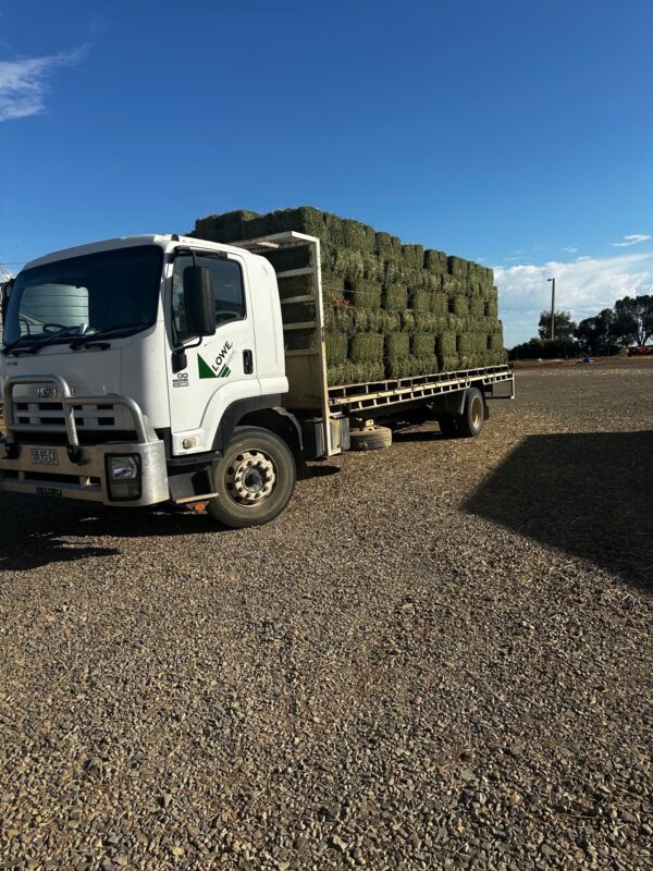 Lucerne Hay - Lowe Farms Farmgate Fodder