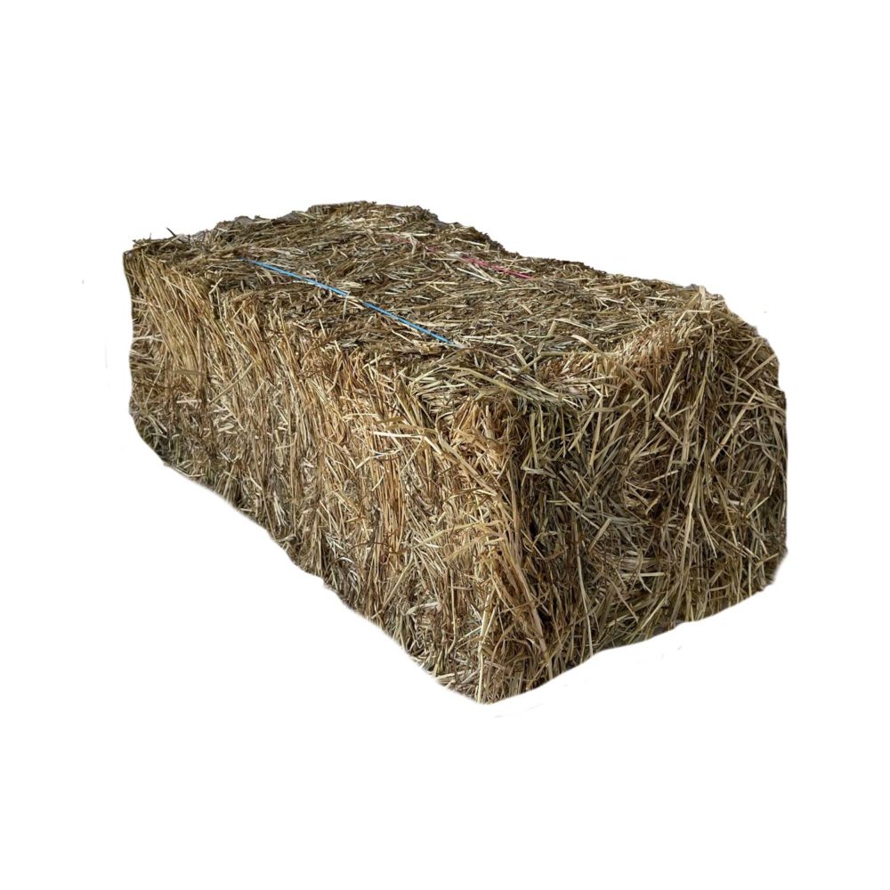 Wheaten Hay (beardless) - Lowe Farms Farmgate Fodder