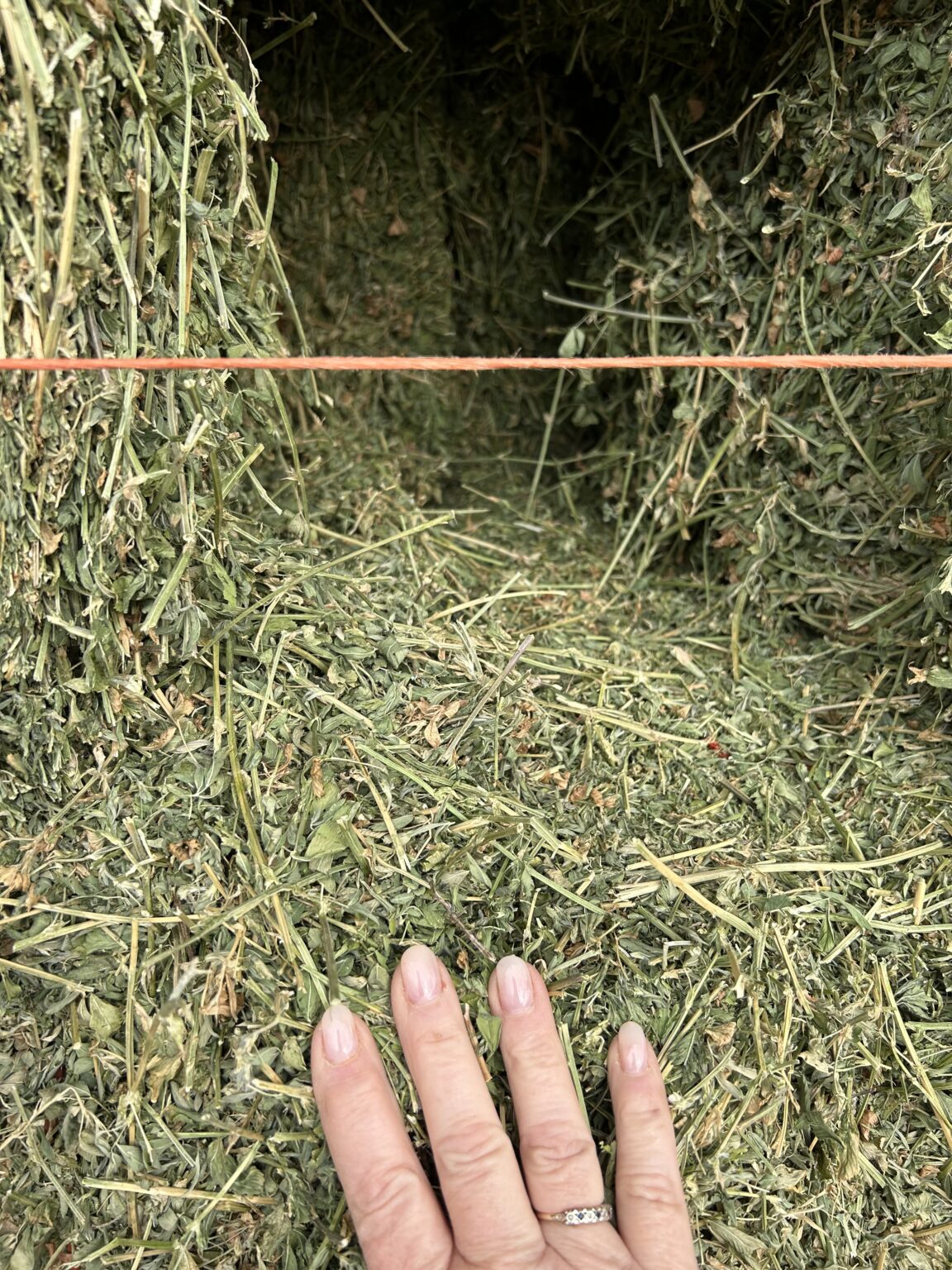 Lucerne Hay - Lowe Farms Farmgate Fodder