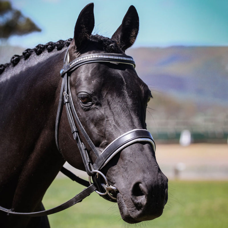 Lowe Farms - South Australian Premium Chaff, Hay & Straw
