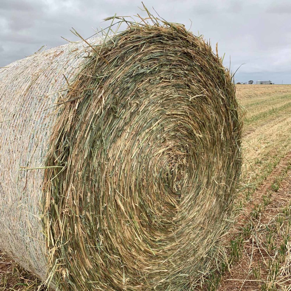 Lucerne Hay - Lowe Farms