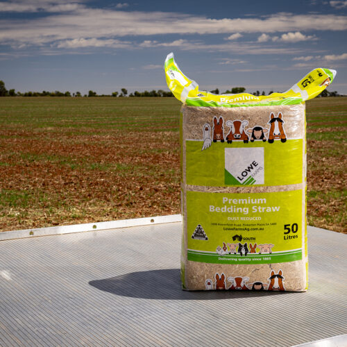 Shop - Lowe Farms Farmgate Fodder