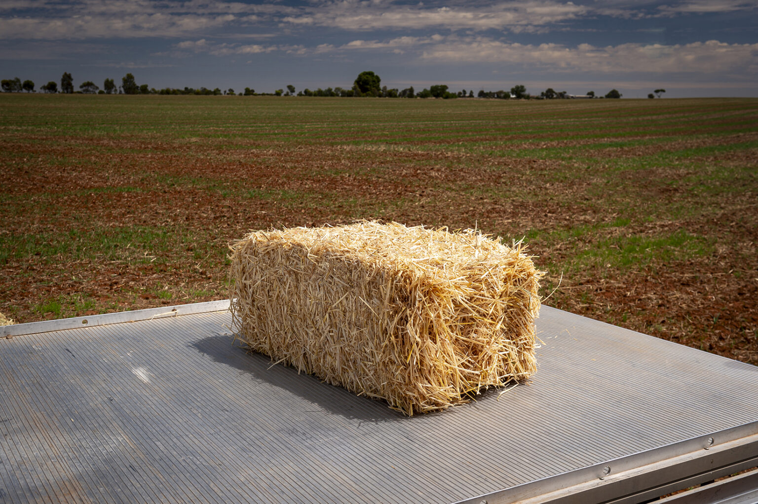 Barley Straw - Lowe Farms Farmgate Fodder