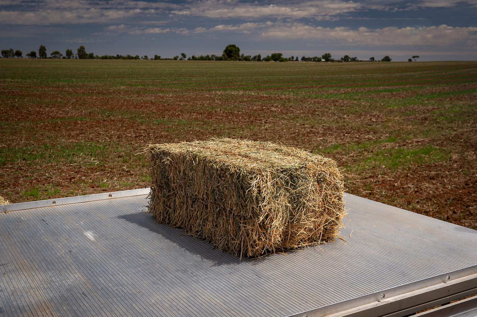 Lucerne Hay - Lowe Farms Farmgate Fodder