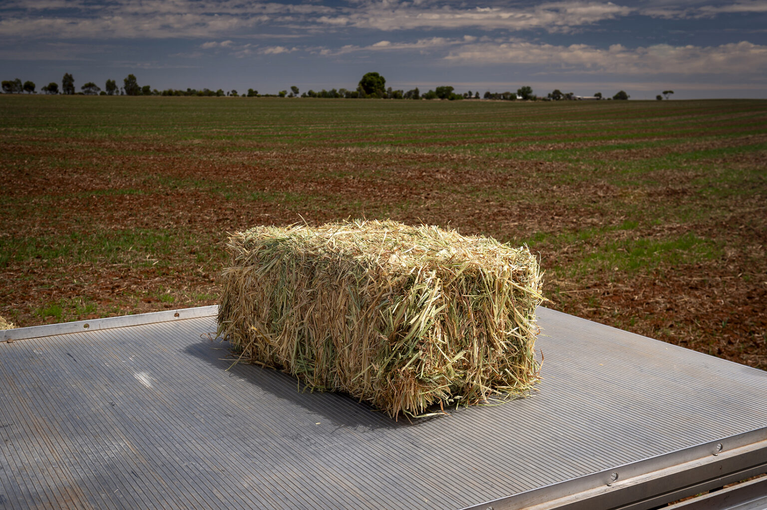 Oaten Hay - Lowe Farms Farmgate Fodder