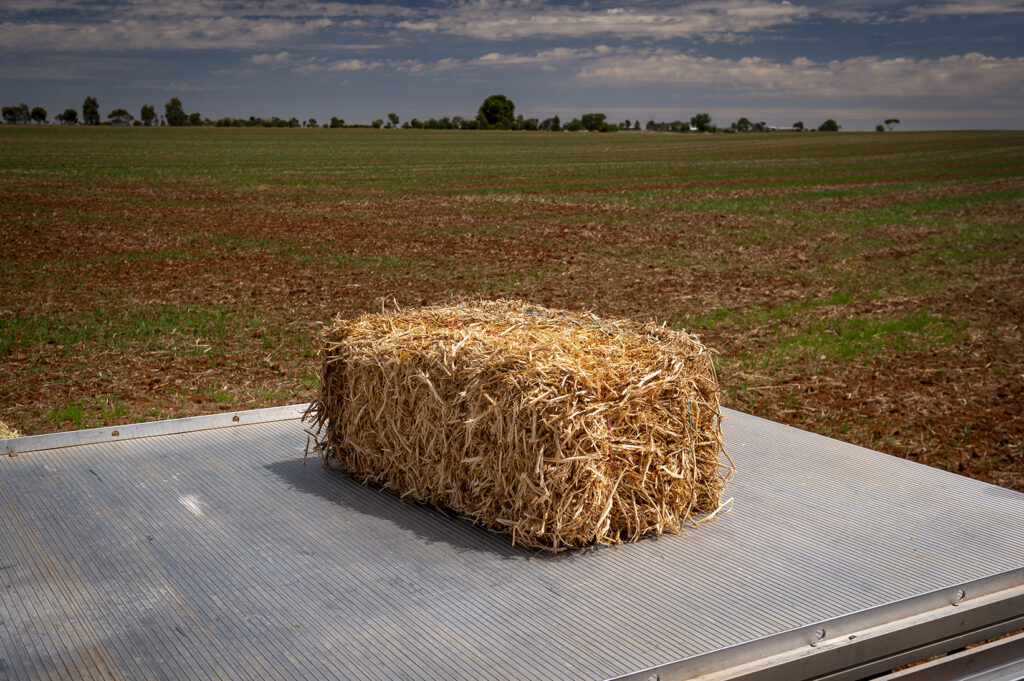 Pea Straw - Lowe Farms Farmgate Fodder